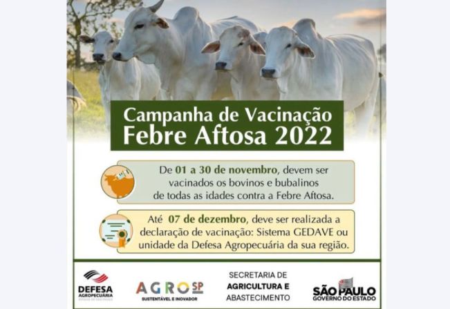 Notícia - Campanha de vacinação da febre aftosa começa em Tupã ...